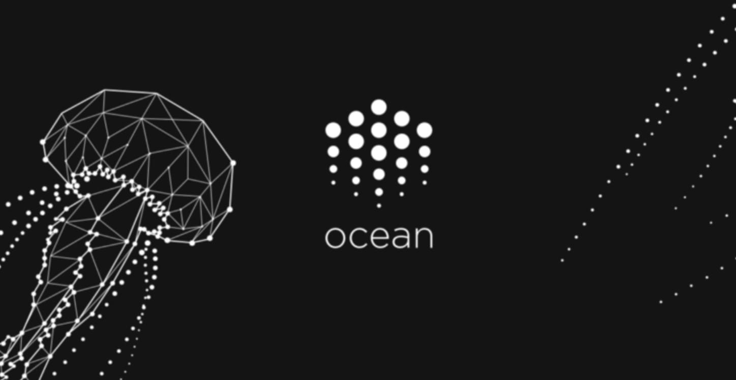 Wat is Ocean Protocol ? Uitleg OCEAN koers en verwachting en alles wat ...